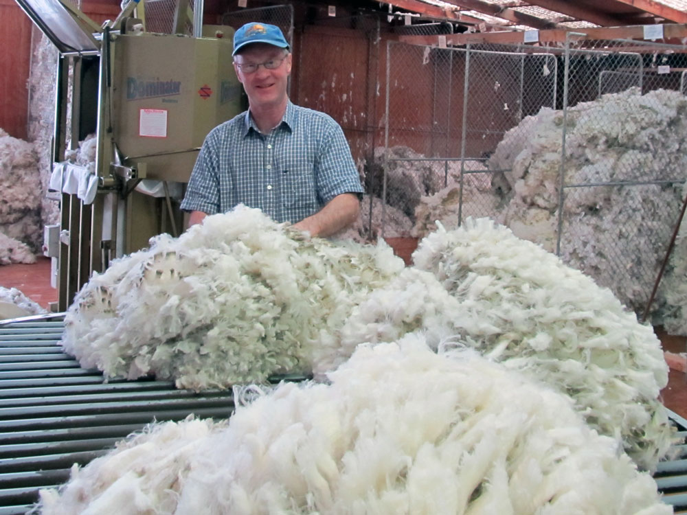 Report Forms - Wool Classers Association